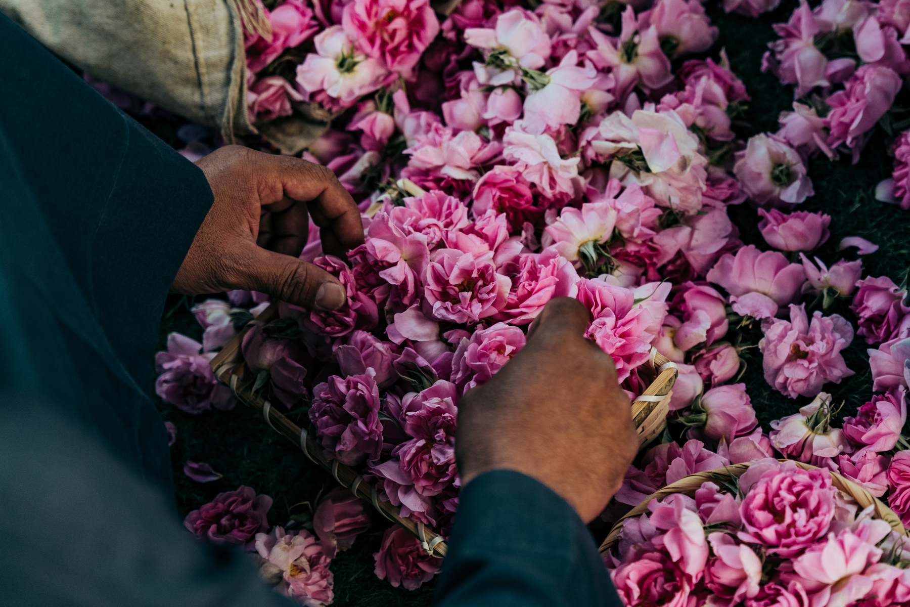 Taif Tourist Places | Historical places to visit in Taif